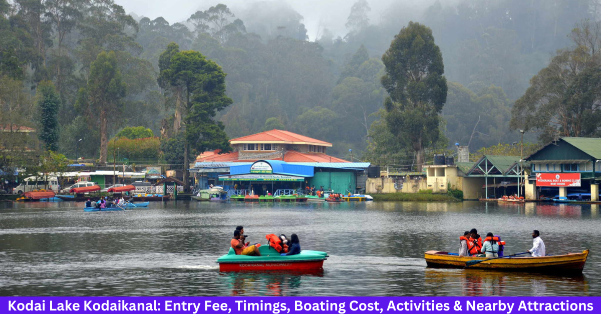Kodai Lake Kodaikanal: Entry Fee, Timings, Boating Cost, Activities ...